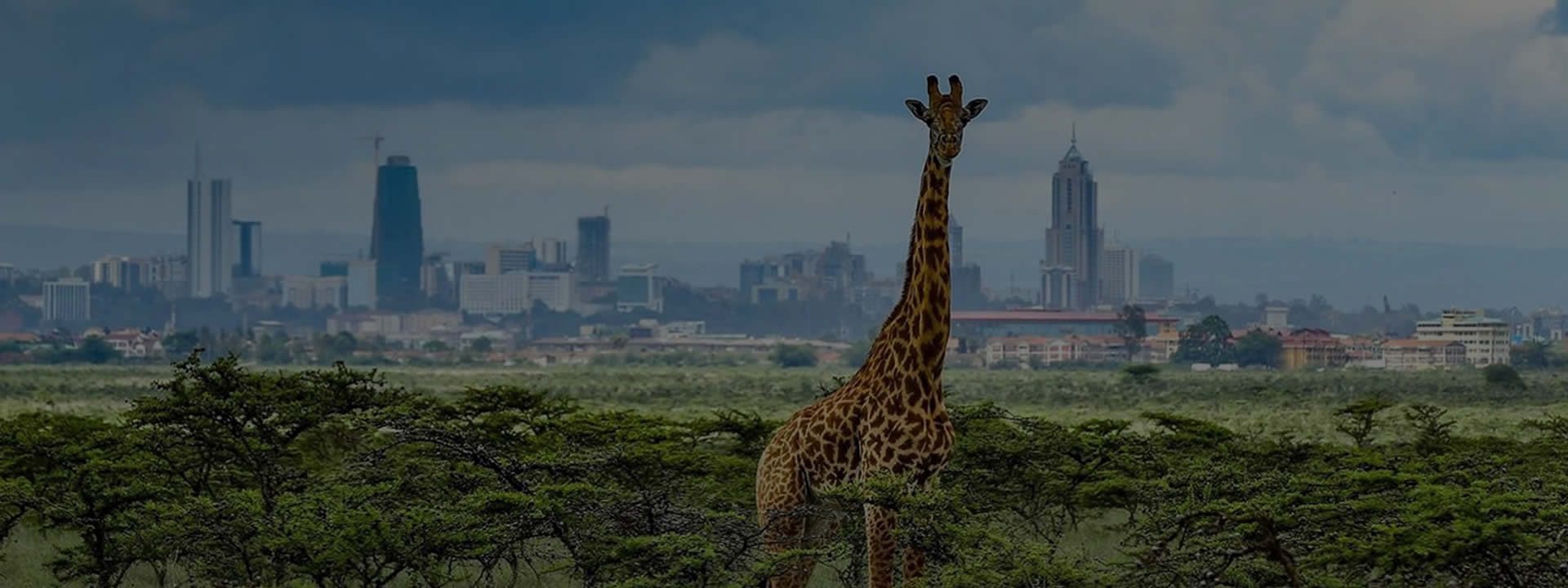 Safari Bora Travel - Discovering Kenya | Nairobi Holiday